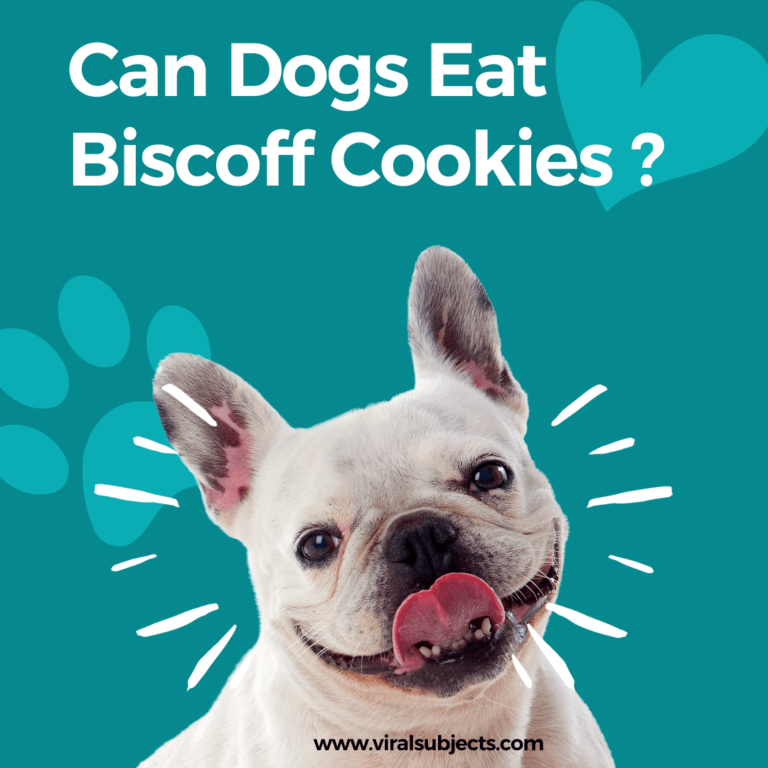 Can Dogs Eat Biscoff Cookies? Safety Guidelines